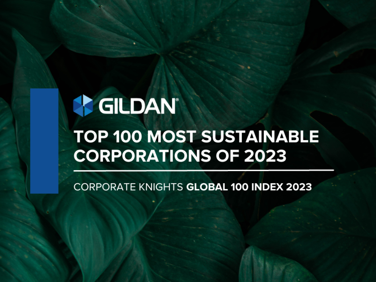 Gildan - ESG News & Media